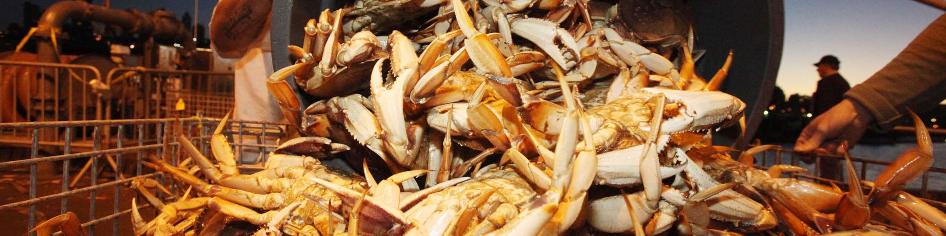 Aloha Seafood | Quality Seafood – Specializing in ESSSP