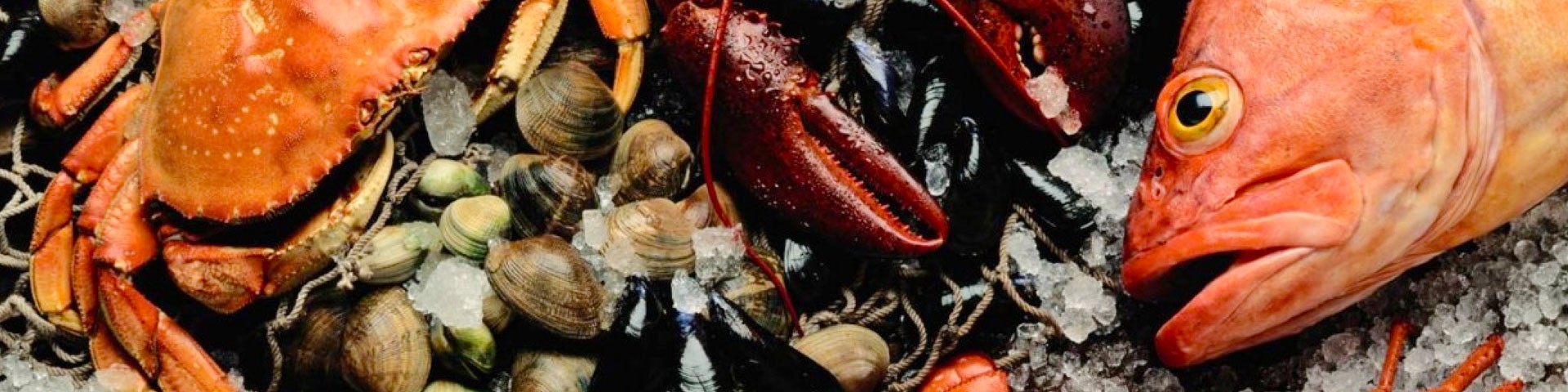 Aloha Seafood | Quality Seafood – Specializing in ESSSP